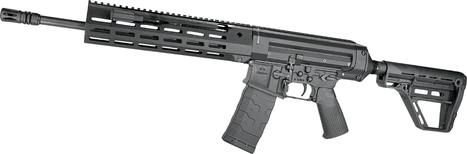Roller Delayed Blowback 5.56 | Roller Delayed AR